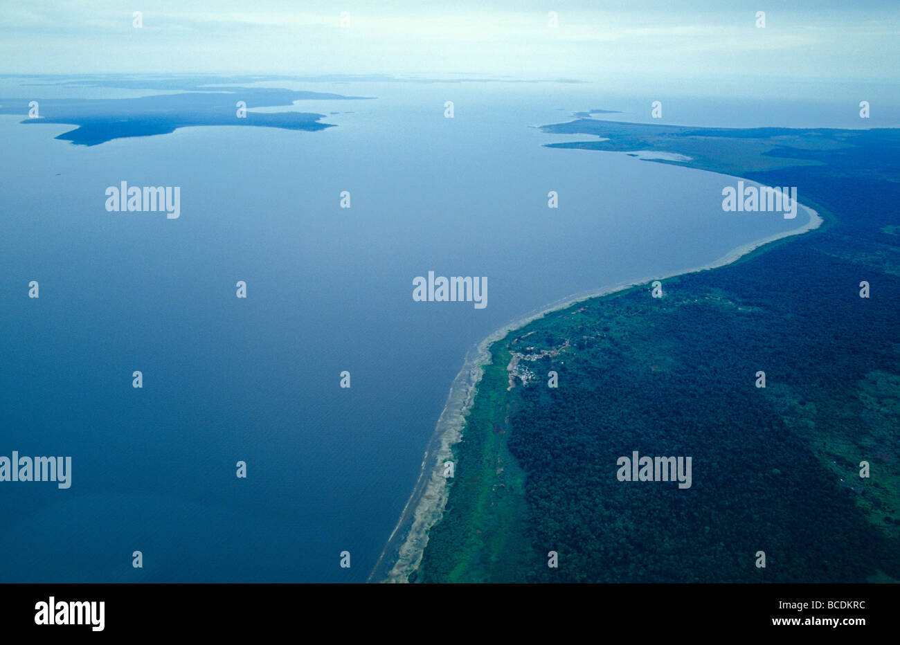 aerial perspective of Lake Victoria shoreline, farmland and wetlands ...