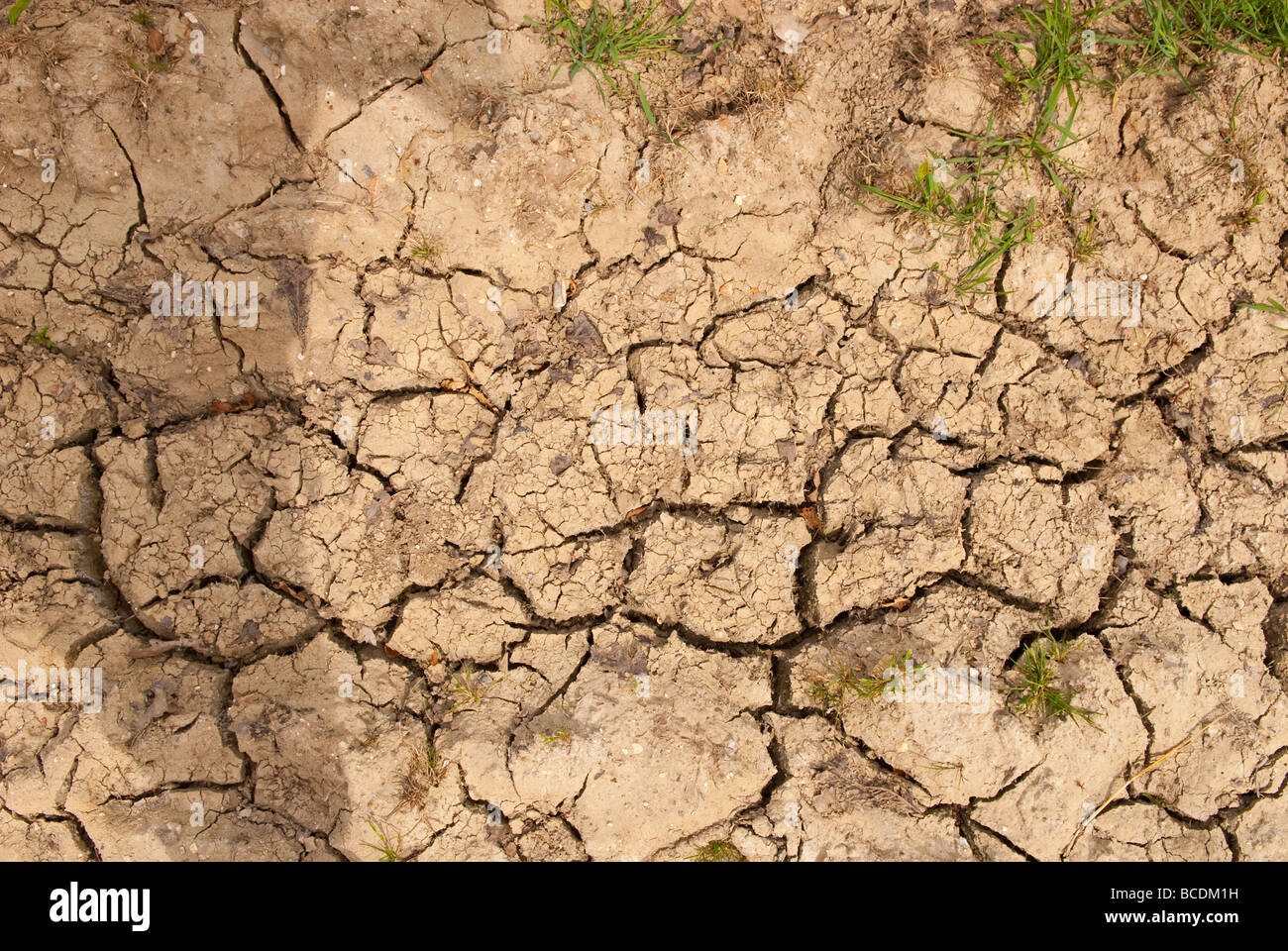 Dry agricultural soil due to dry weather in the Uk Stock Photo - Alamy
