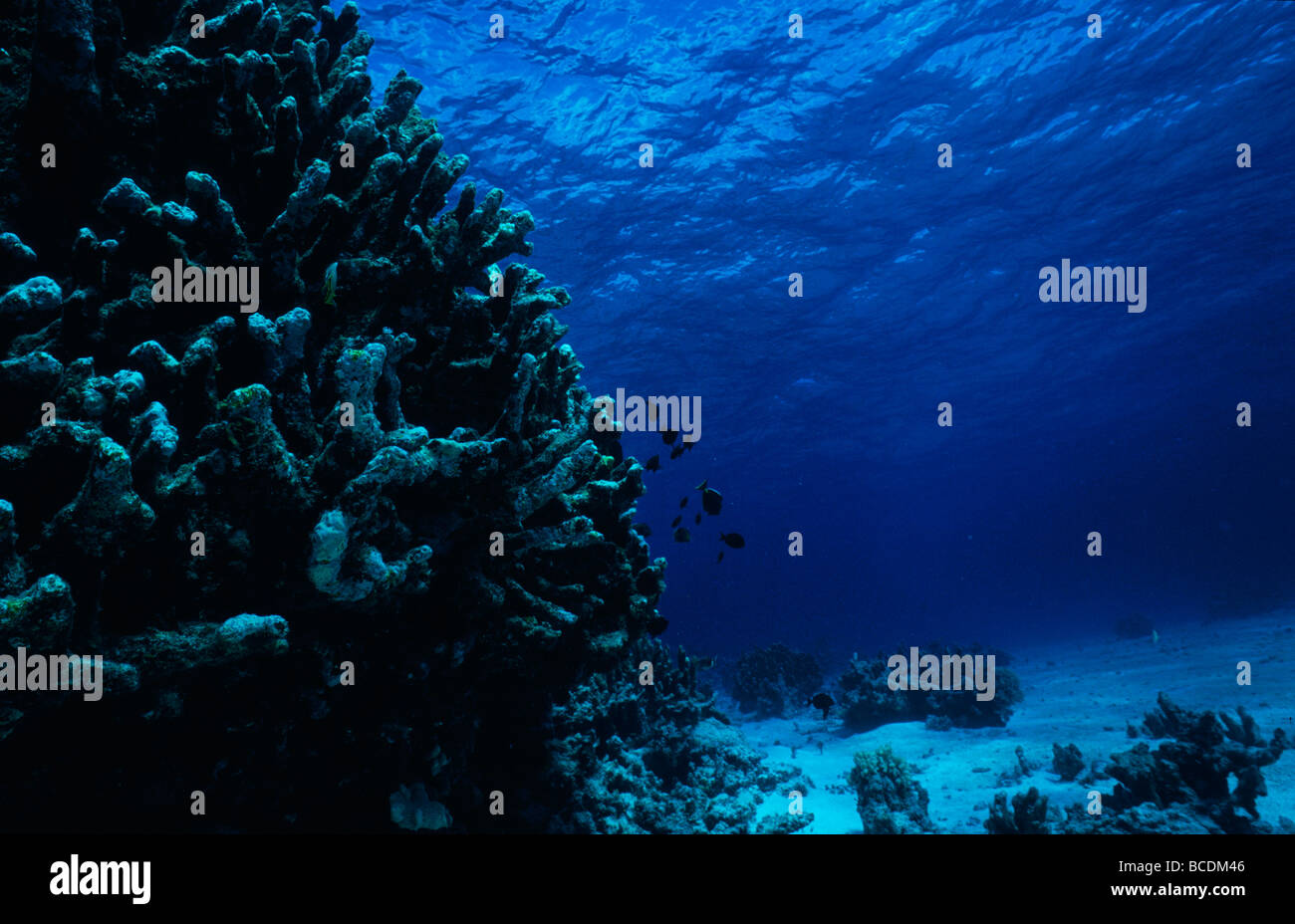 Iridescent surface hi-res stock photography and images - Alamy