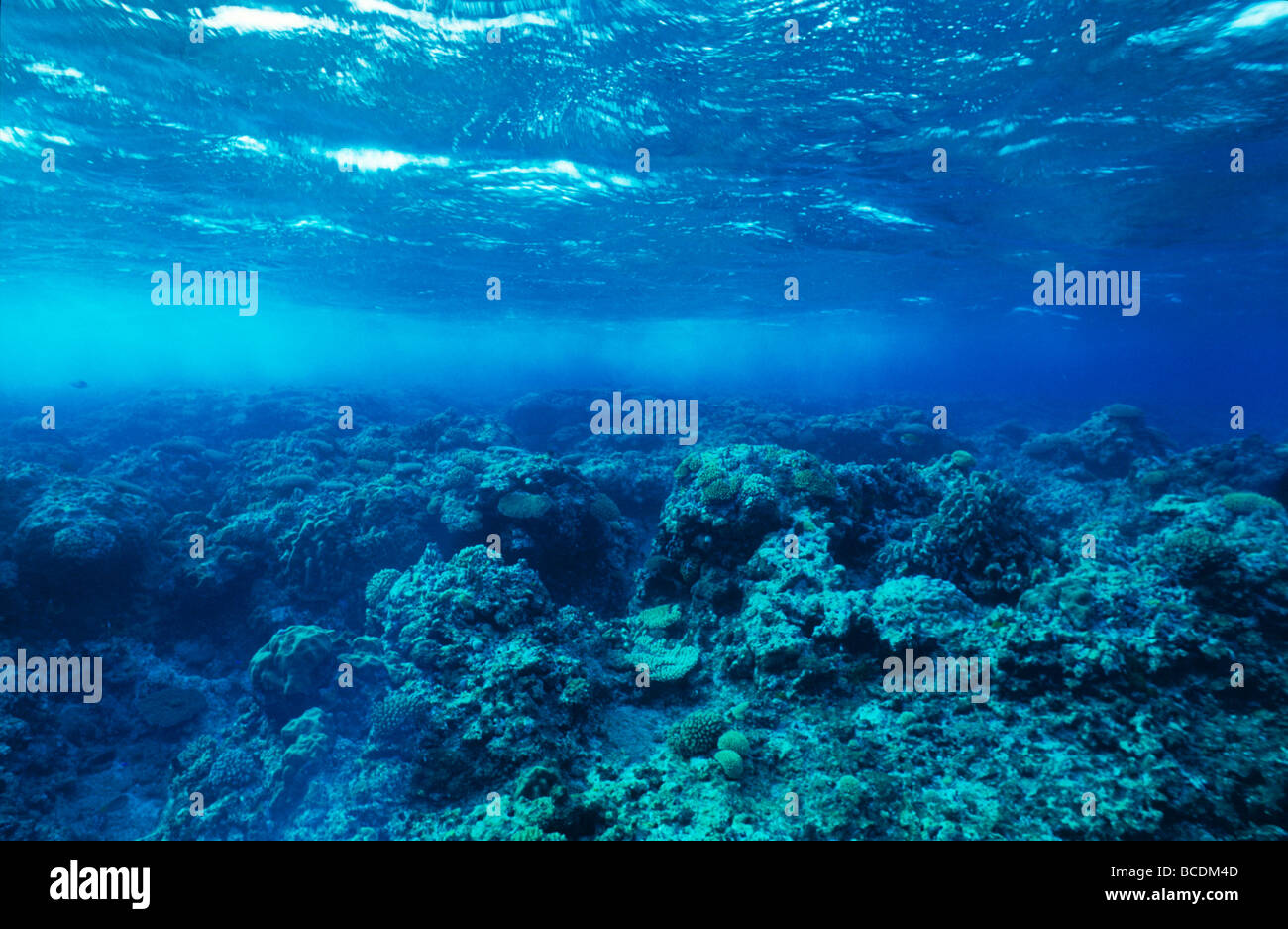 Willis island australia hi-res stock photography and images - Alamy