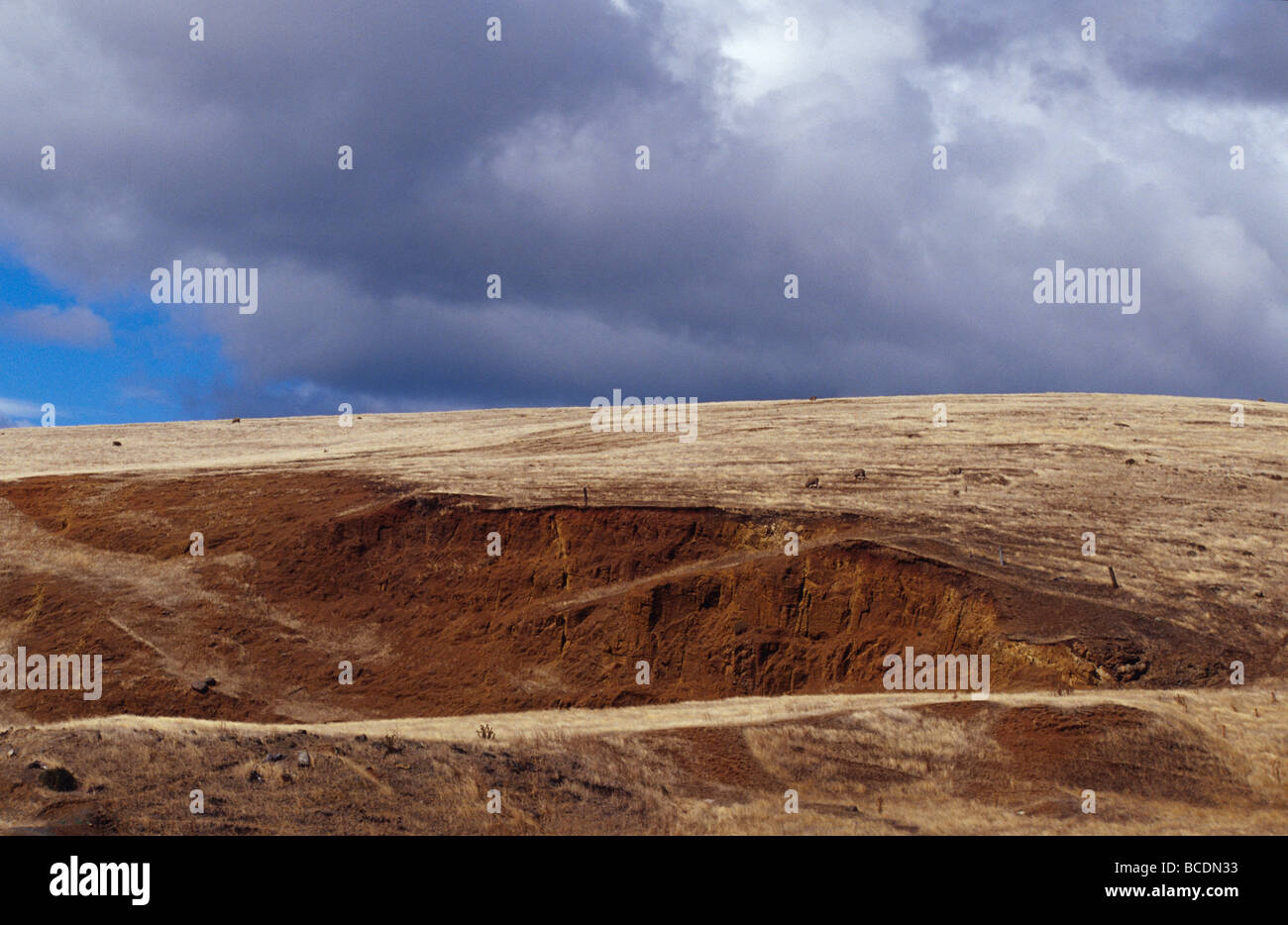 Farmland destroyed by drought, over grazing and erosion Stock Photo - Alamy