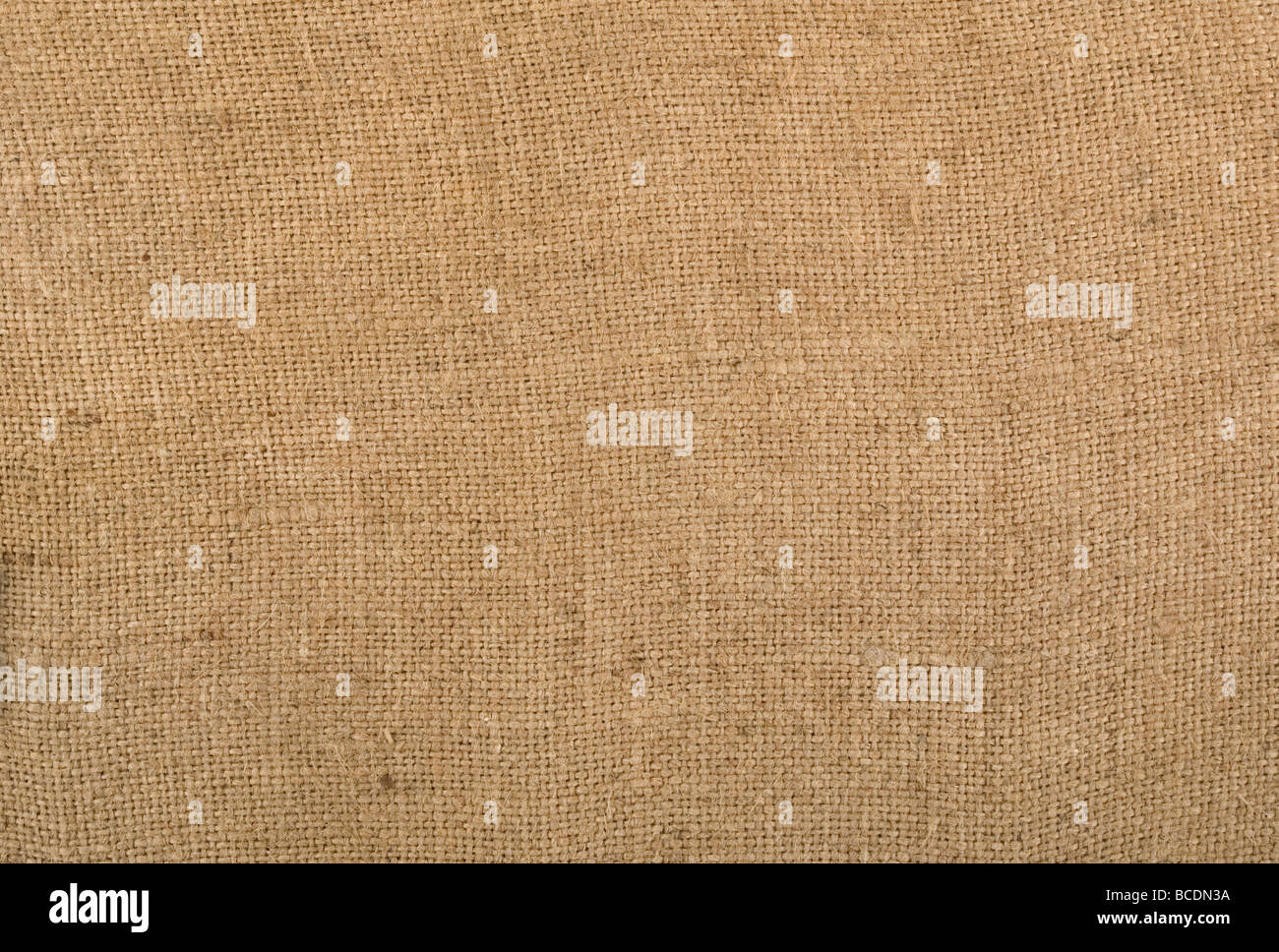 Linea design hi-res stock photography and images - Alamy