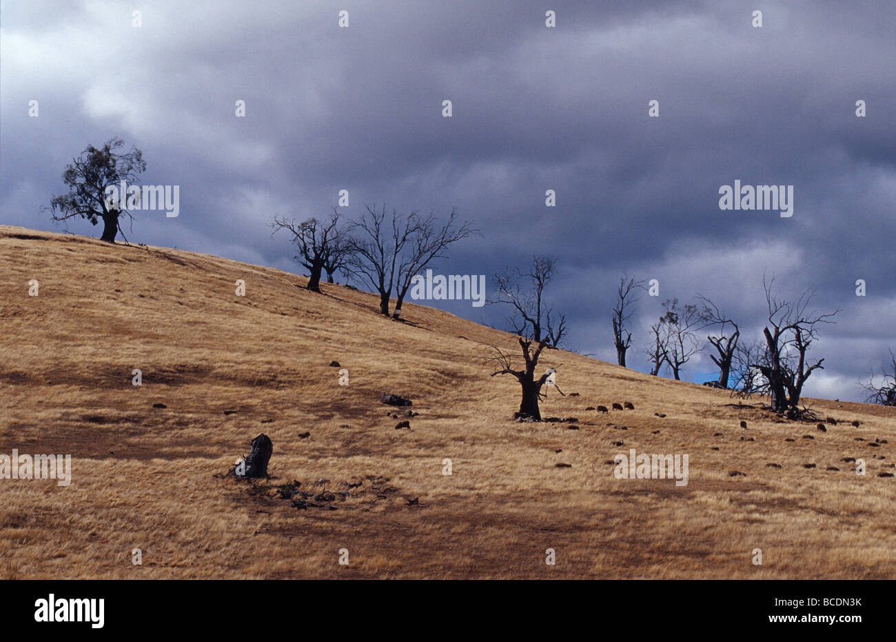 Farmland destroyed by drought, over grazing and erosion Stock Photo - Alamy