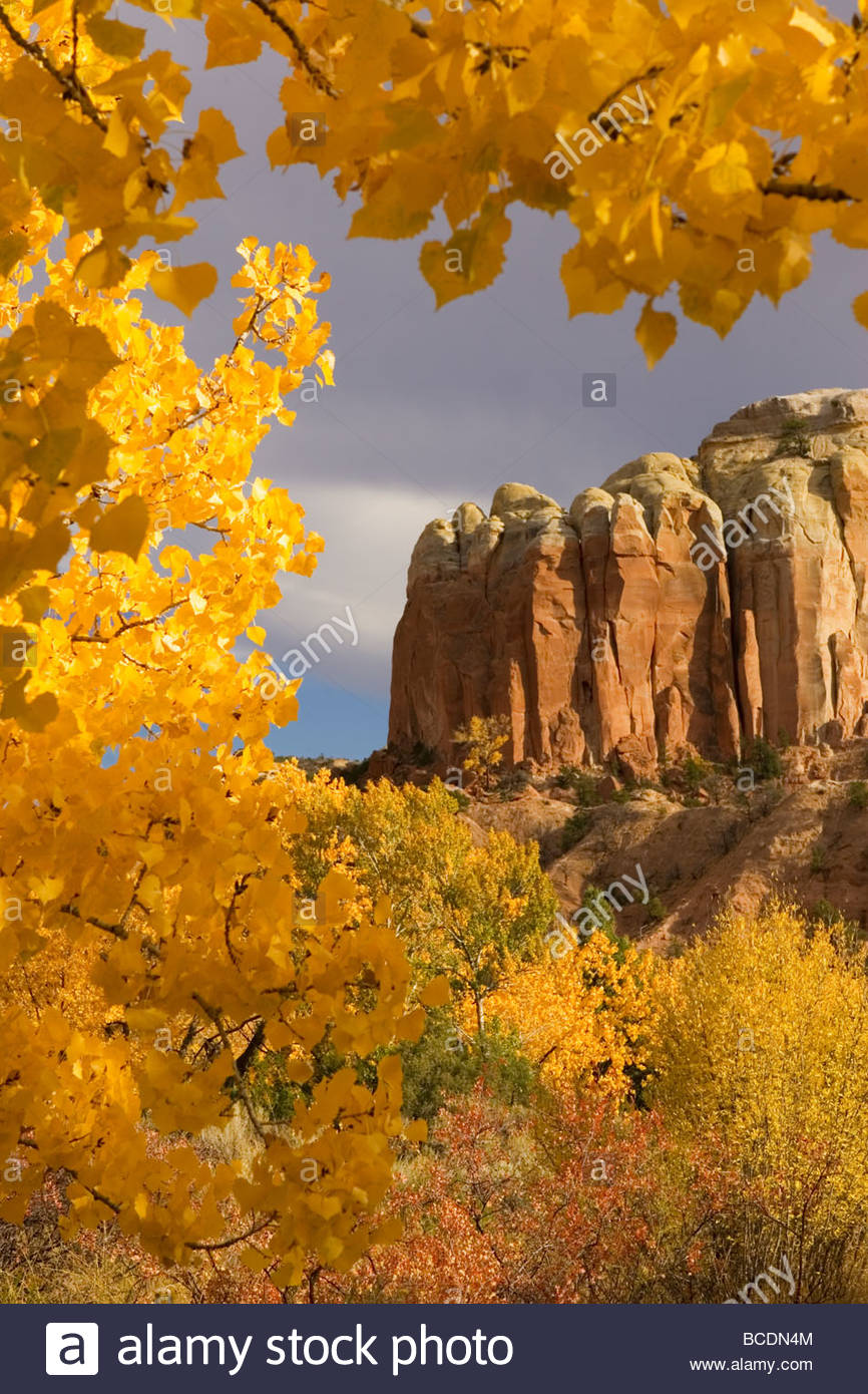 Frame a hi-res stock photography and images - Alamy