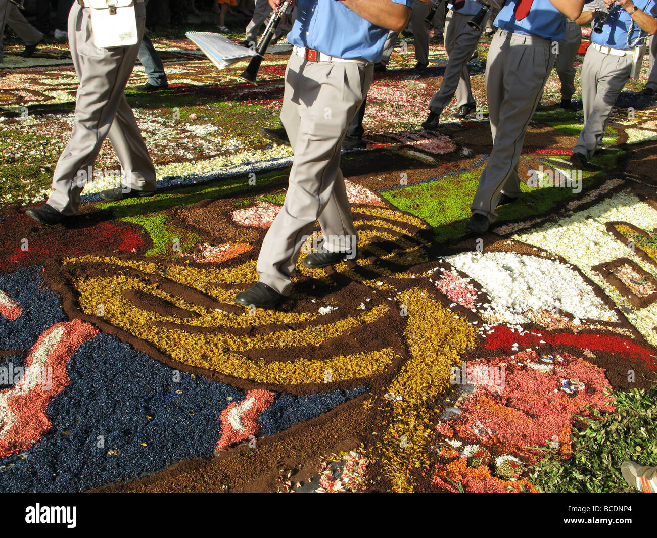 carnival infiorata flowers petals designs festival in genzano, lazio ...