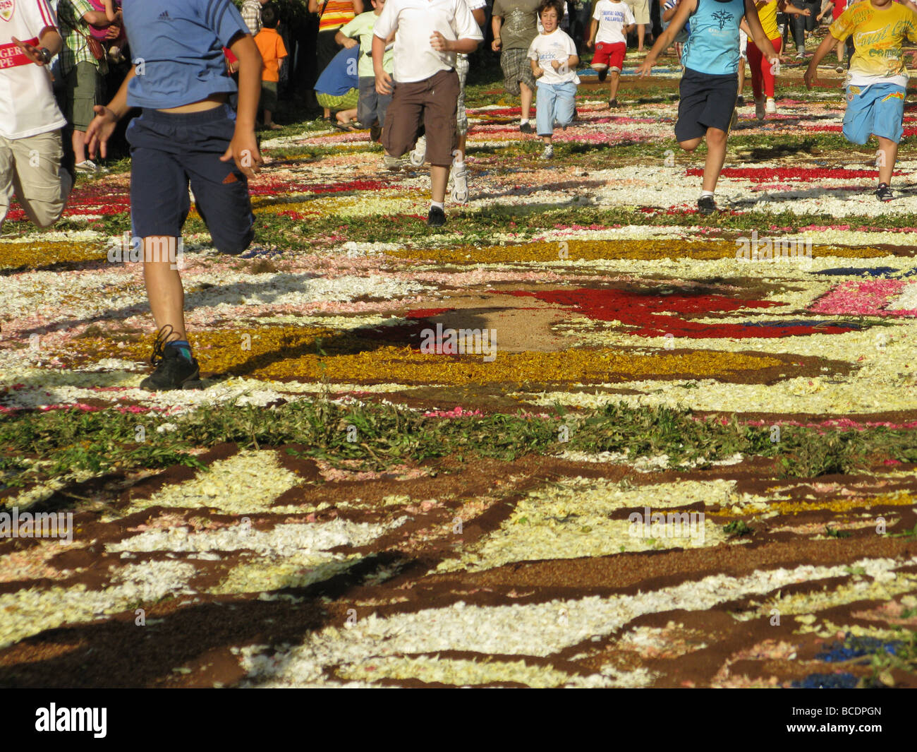local children running over the infiorata flowers petals designs ...