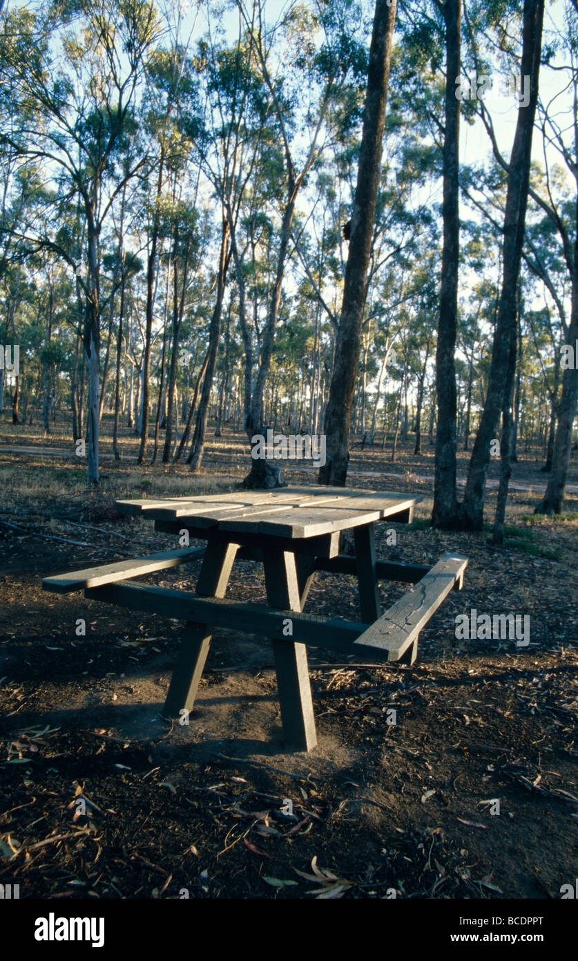 A picnic table in a Box-Ironbark Eucalypt forest Stock Photo - Alamy