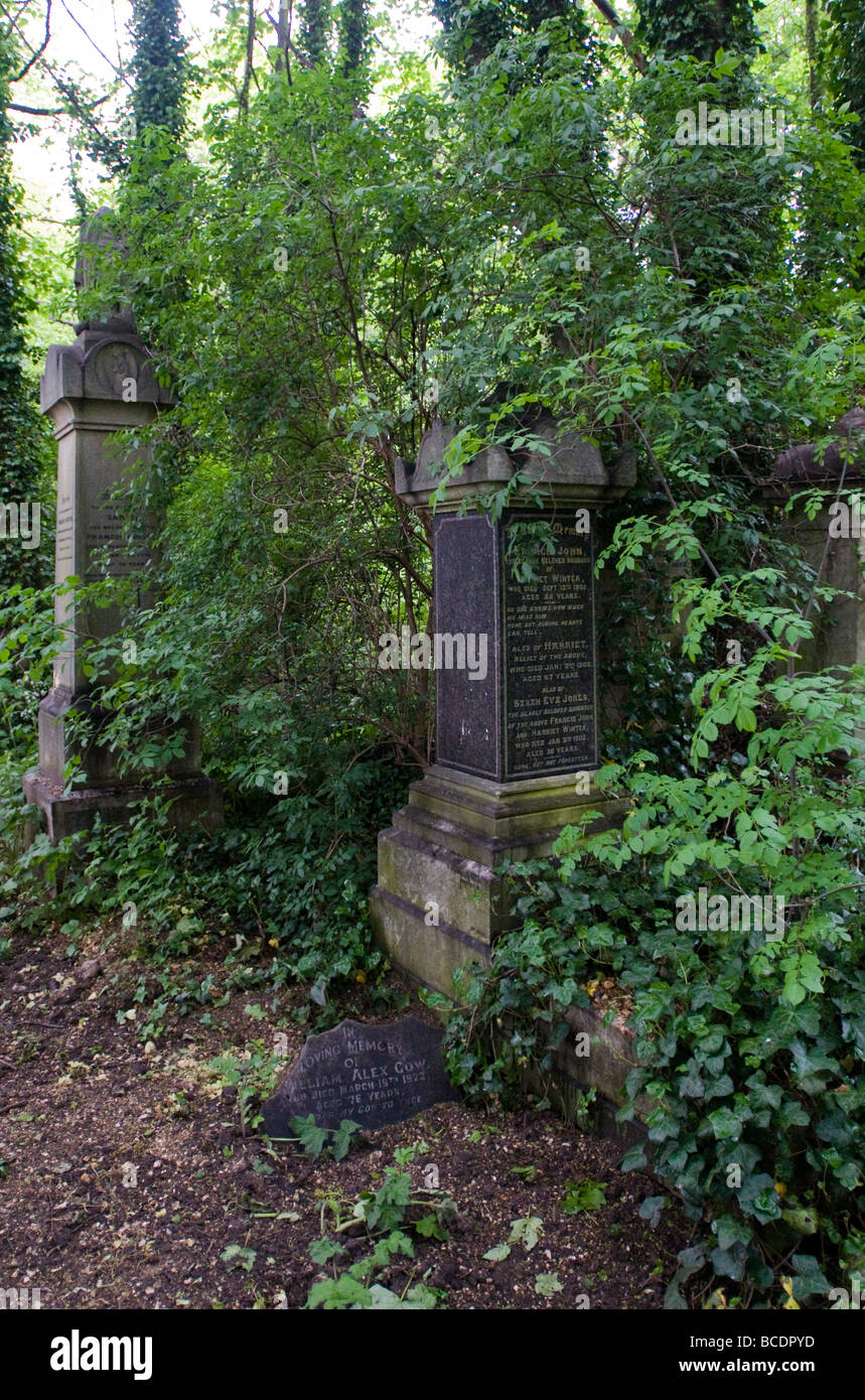 Headstones in Spring Bank West Cemetery, Kingston Upon Hull, East ...