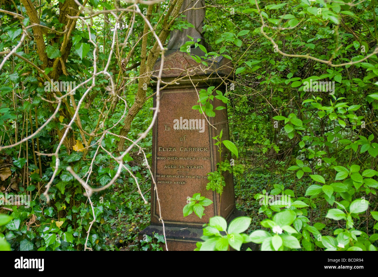 Headstones in Spring Bank West Cemetery, Kingston Upon Hull, East ...