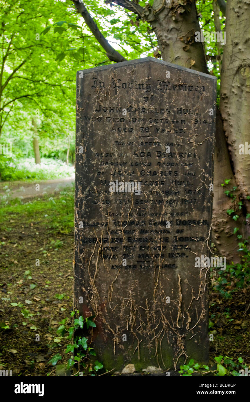 Headstones in Spring Bank West Cemetery, Kingston Upon Hull, East ...