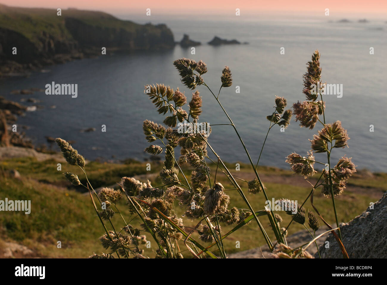 Grasses clifftop hi-res stock photography and images - Alamy