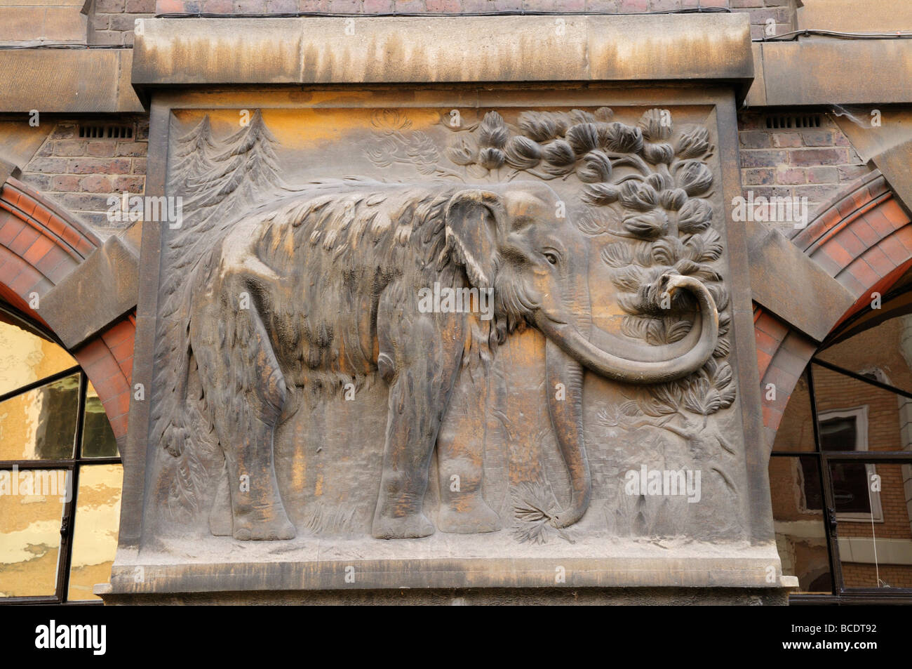 Elephant relief hi-res stock photography and images - Alamy