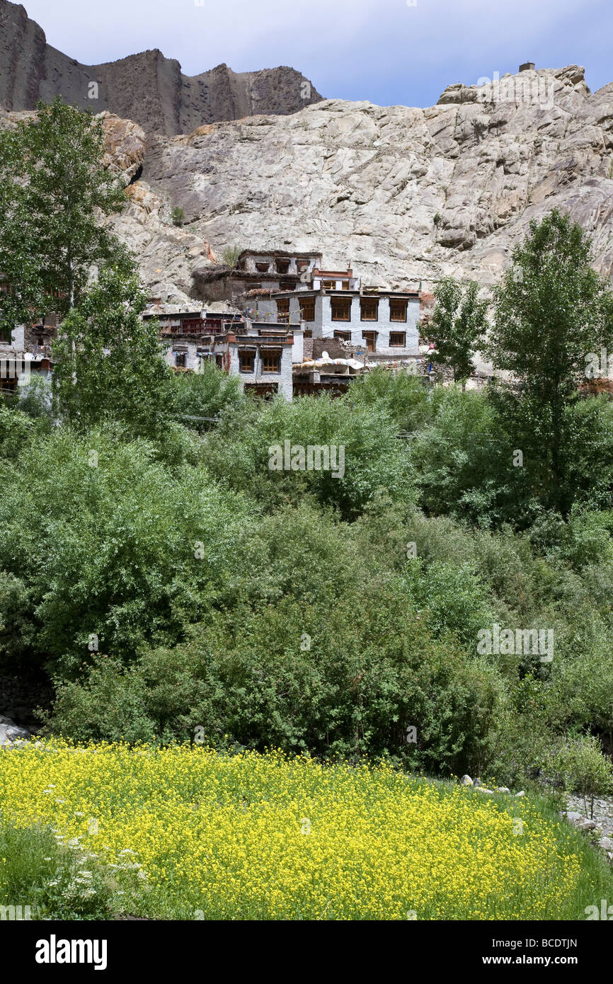 Hemis village hi-res stock photography and images - Alamy