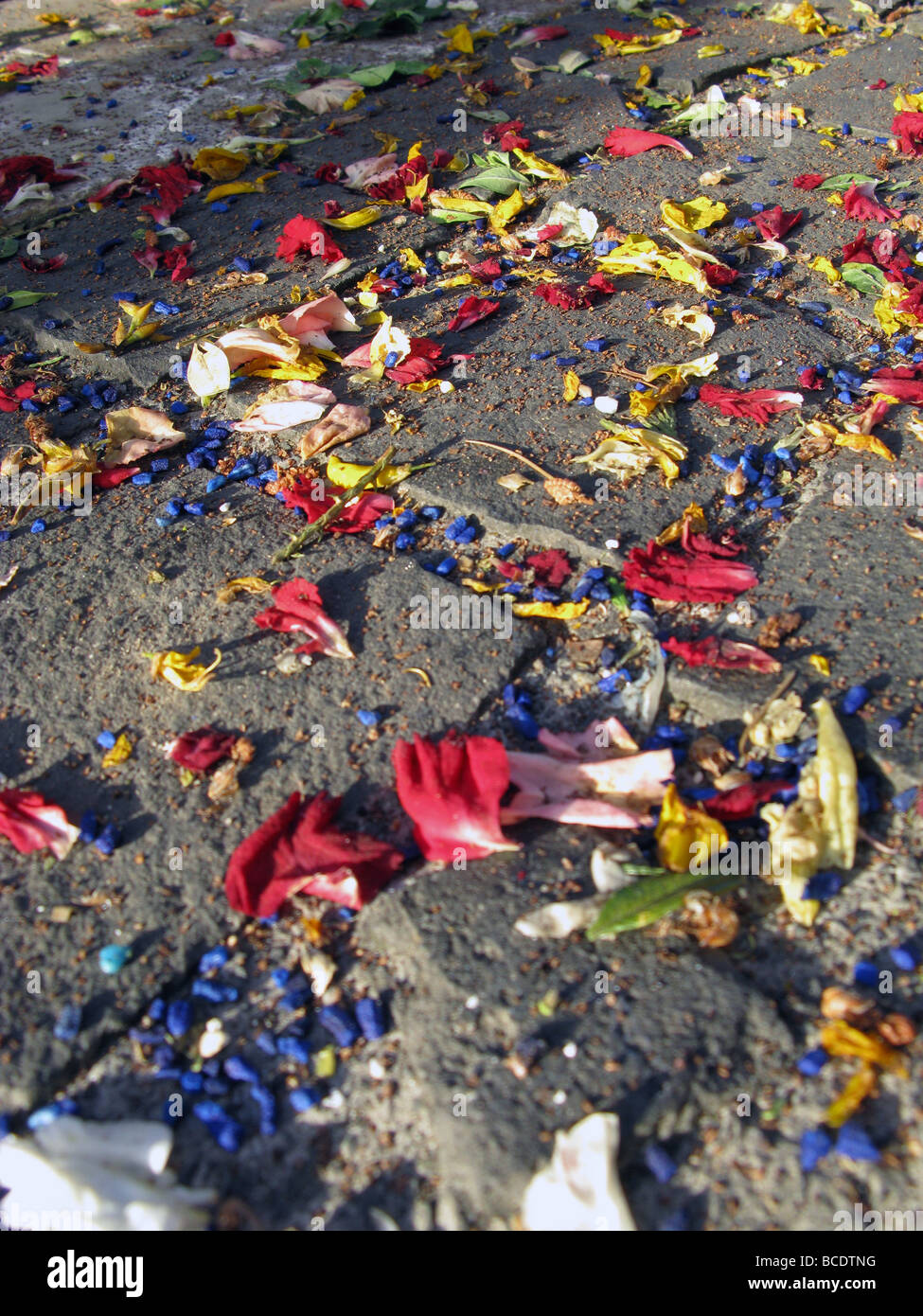 Dead flower petals on floor hi-res stock photography and images - Alamy