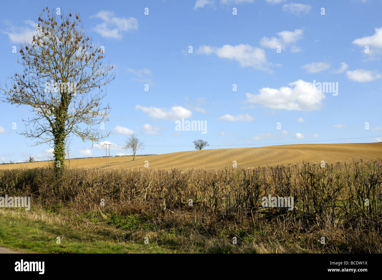 Country Road Side Stock Photo - Alamy