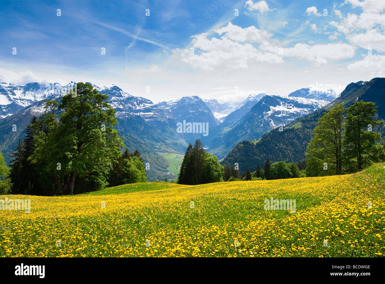 Scenic view from Braunwald Switzerland in spring Stock Photo - Alamy