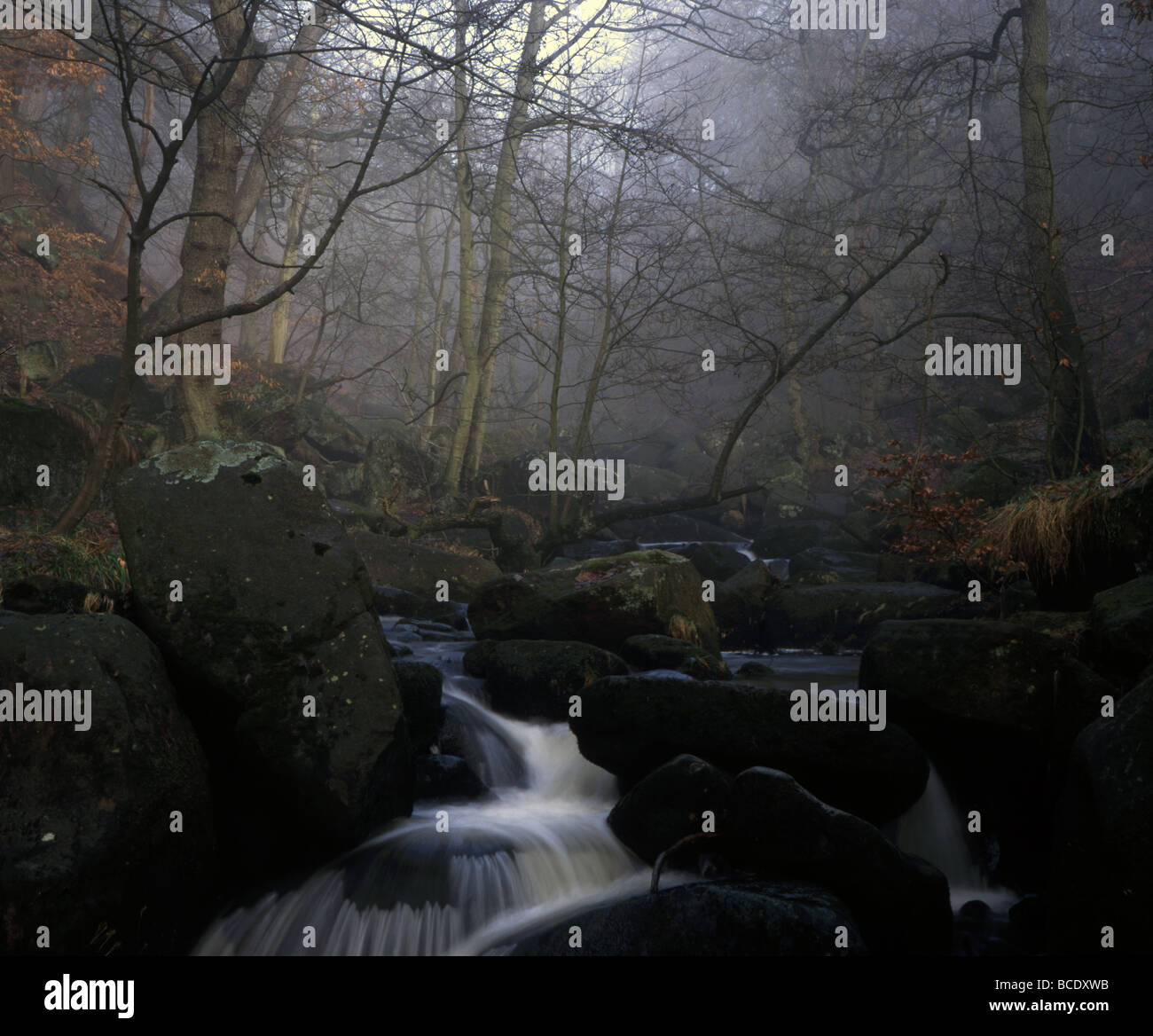 Padley Wood Padley Gorge Grindleford Derbyshire England Stock Photo - Alamy