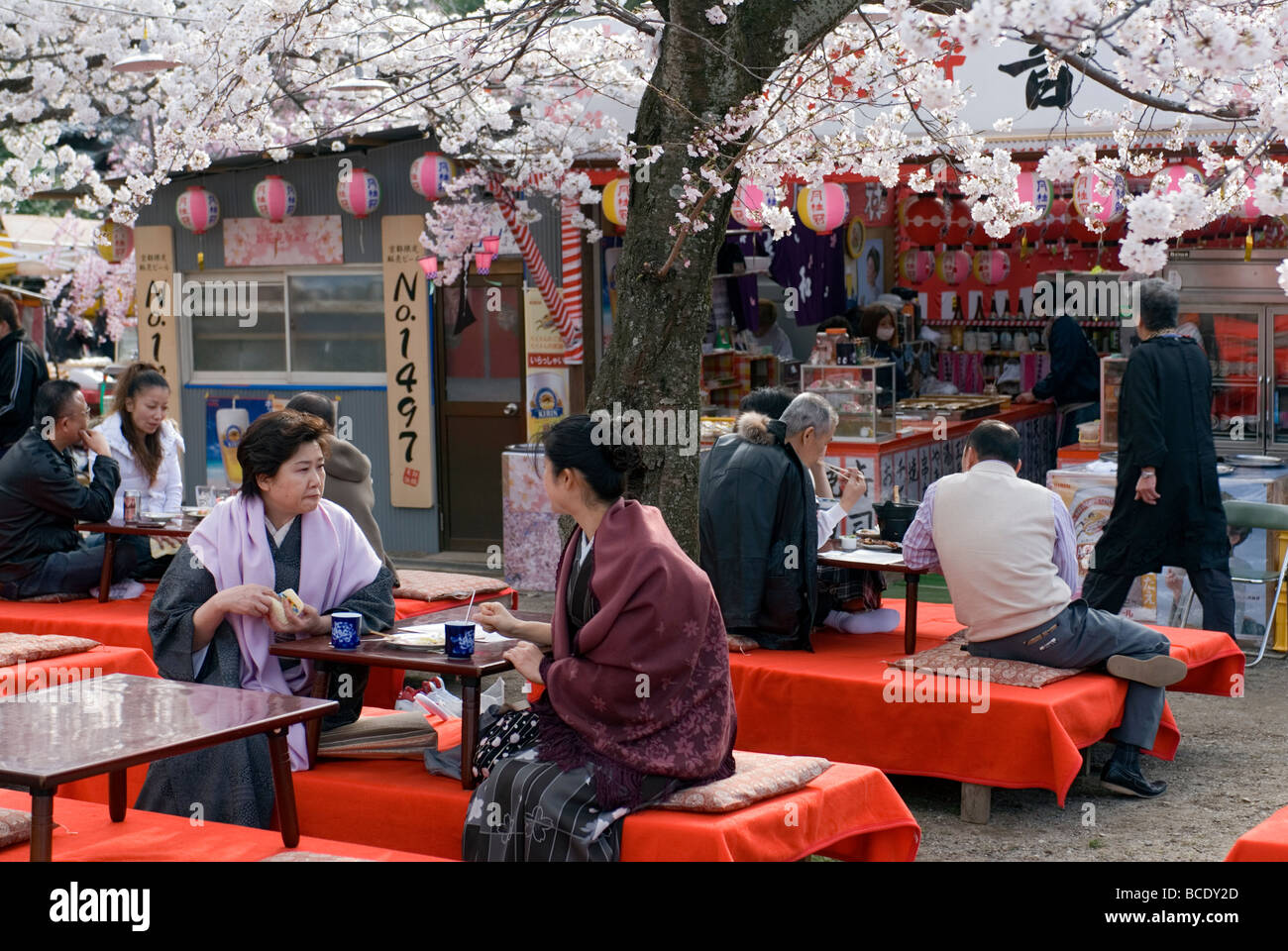 Cherry blossom viewing or hanami season is a great time to enjoy your ...
