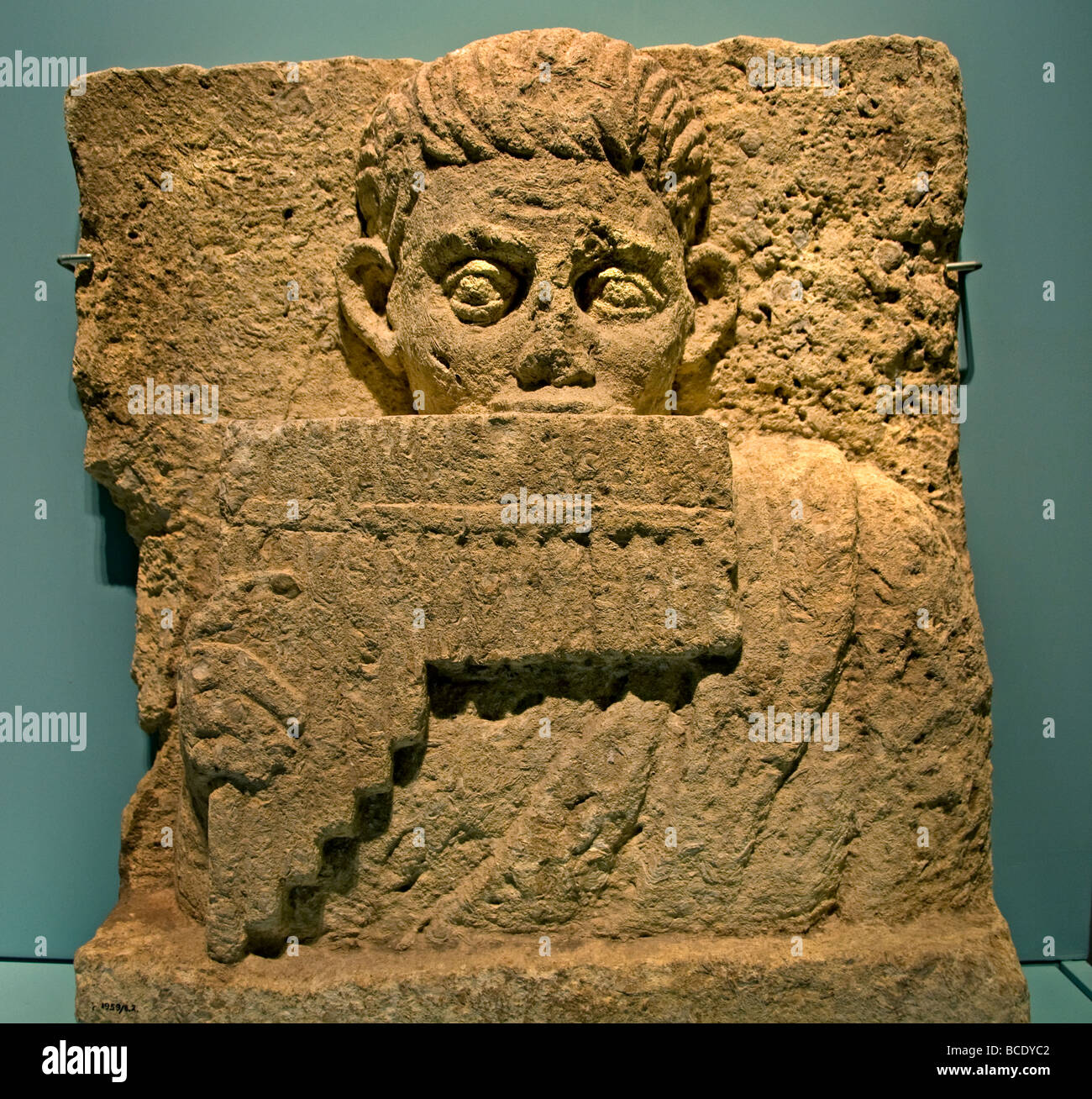 Oxyrhynchus hi-res stock photography and images - Alamy