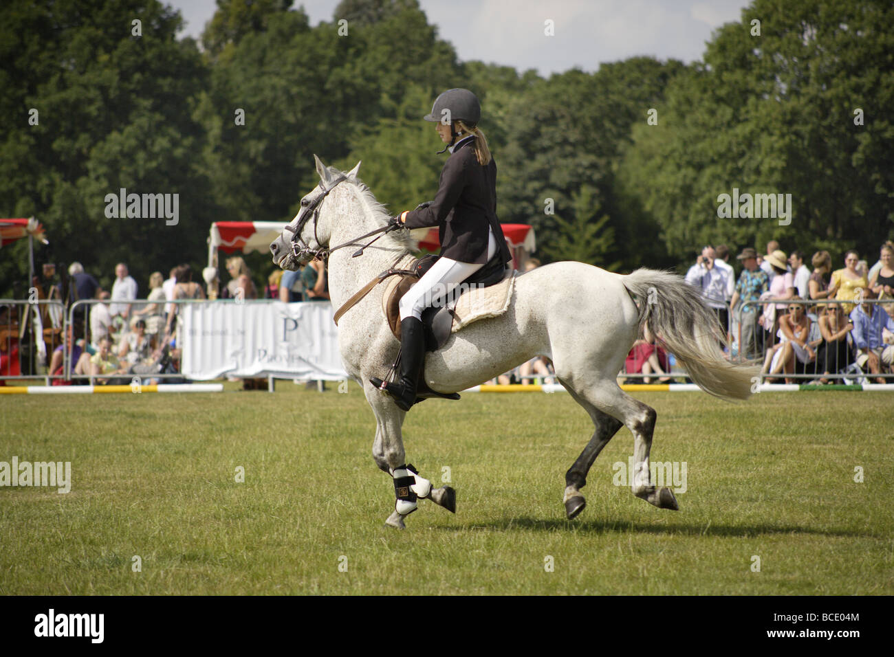 Pony jump competition hi-res stock photography and images - Alamy