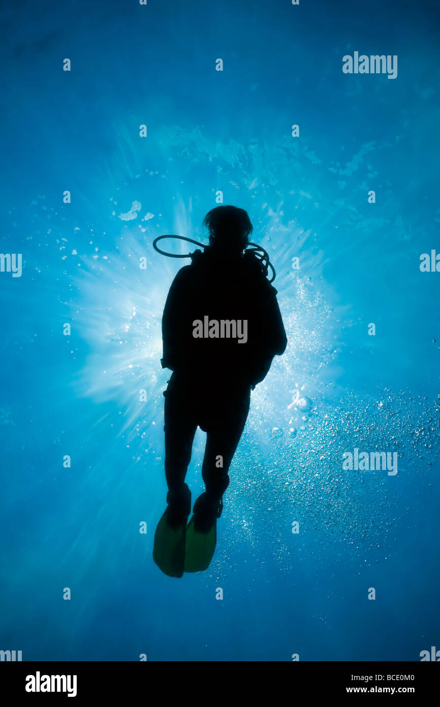 Scuba scenes hi-res stock photography and images - Alamy