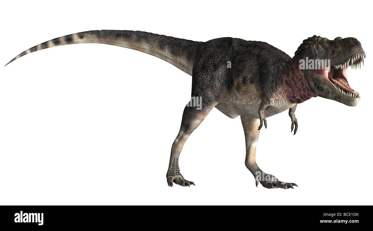 Tarbosaurus