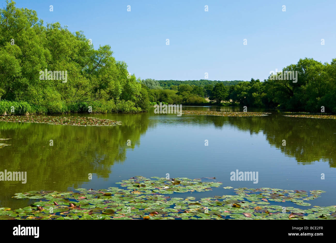 Patching Pond on a fine summer's day, near Worthing, West Sussex, UK ...