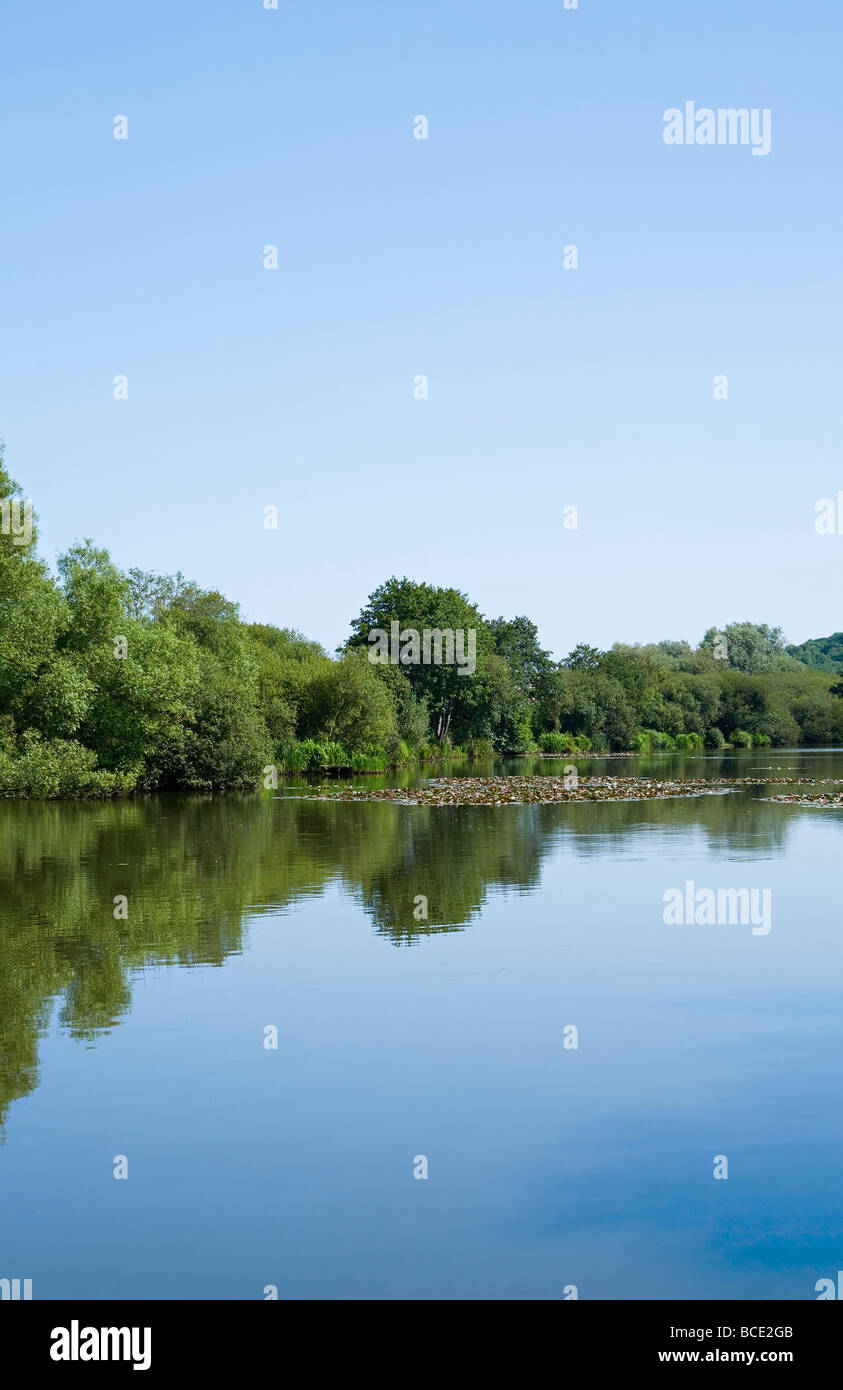 Uk angling water pond hi-res stock photography and images - Alamy