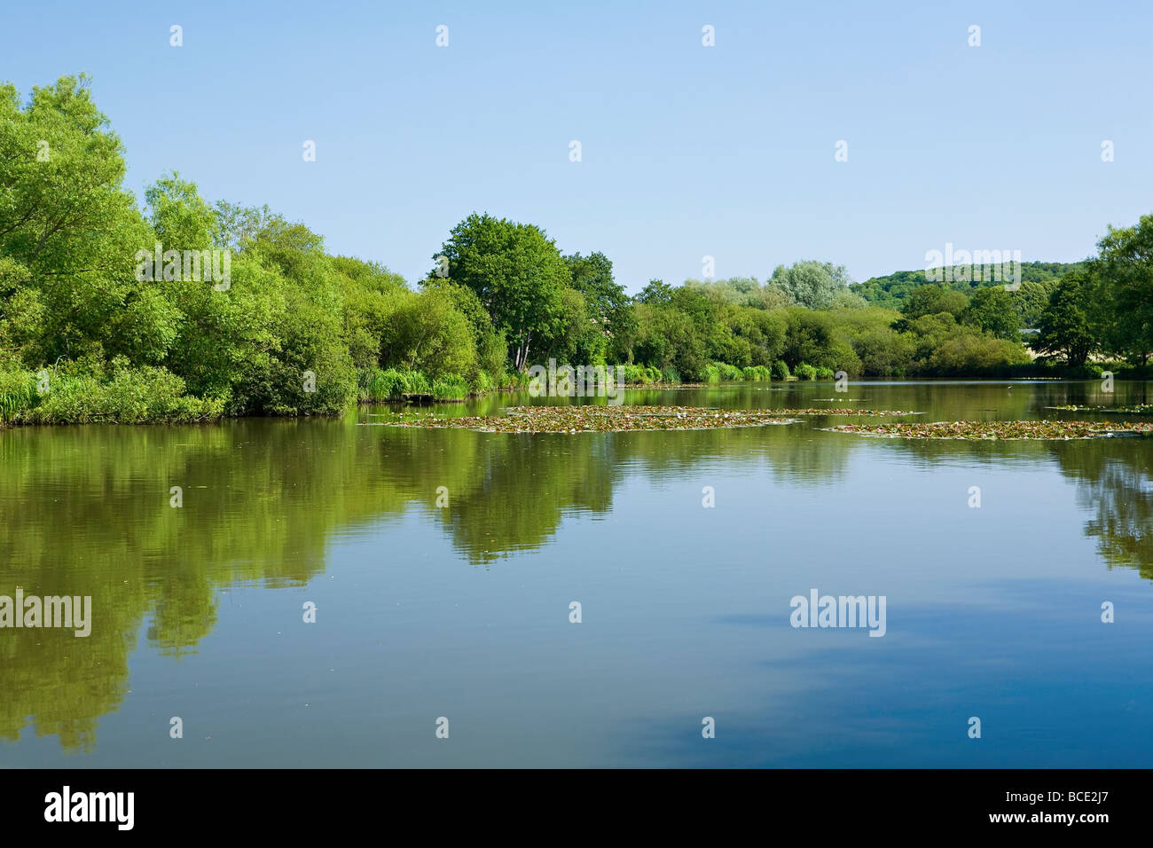 Patching Pond on a fine summer's day, near Worthing, West Sussex, UK ...