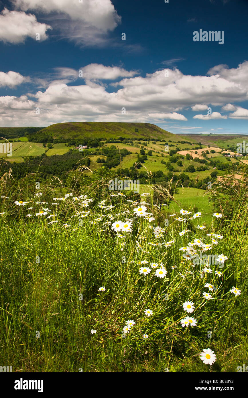 Bilsdale and Easterside Hill North York Moors National Park Yorkshire ...
