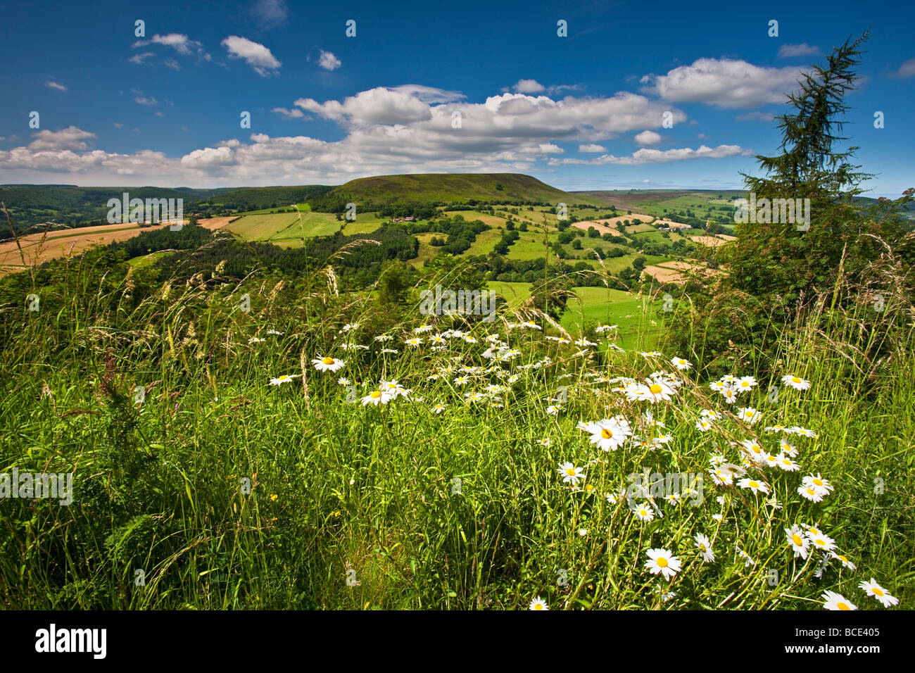 Bilsdale and Easterside Hill North York Moors National Park Yorkshire ...
