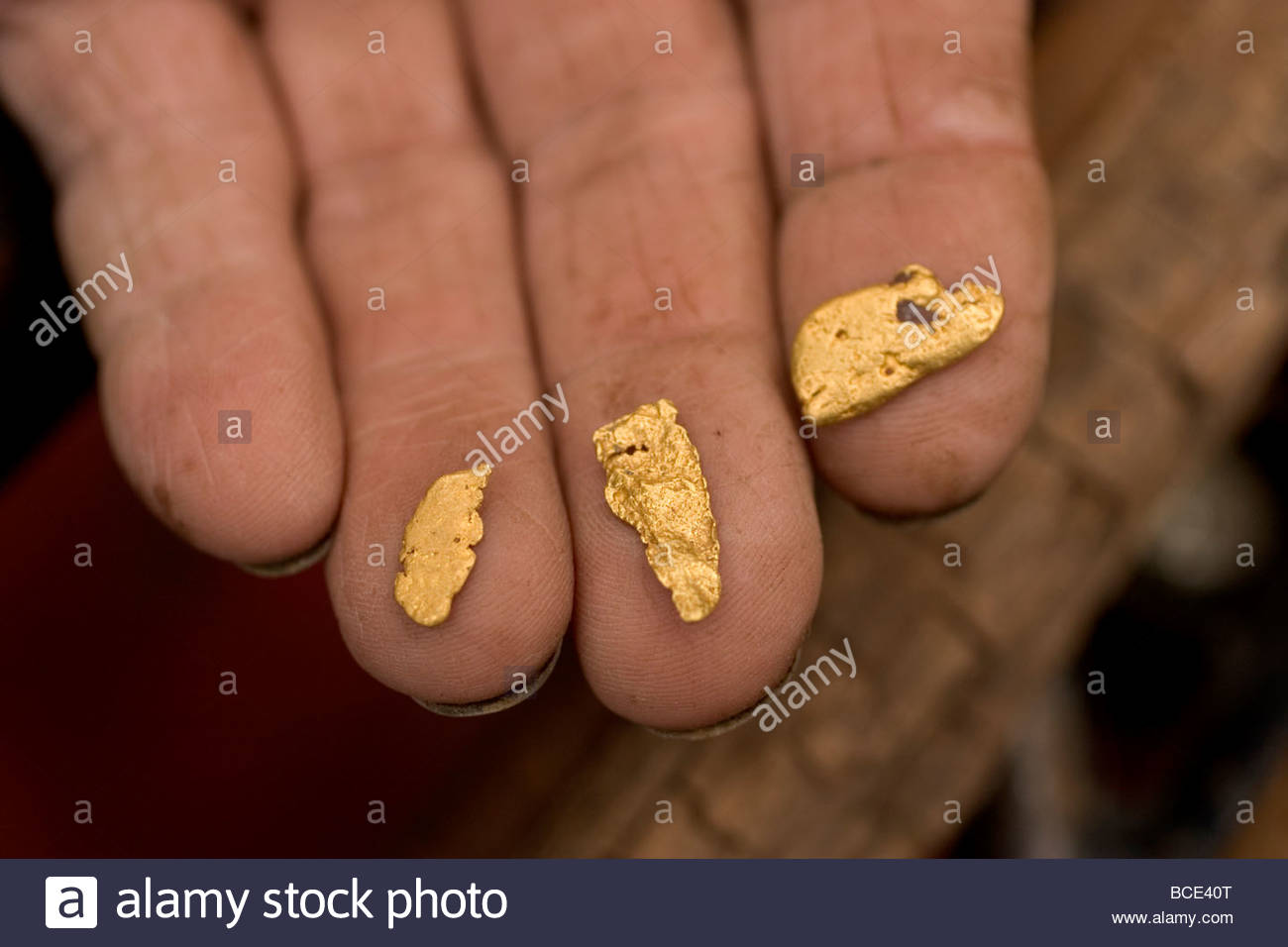 Gold Nuggets Hand Stock Photos & Gold Nuggets Hand Stock Images - Alamy