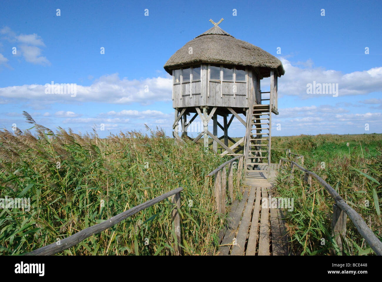 Birdwatching tower in Pape nature park Stock Photo - Alamy