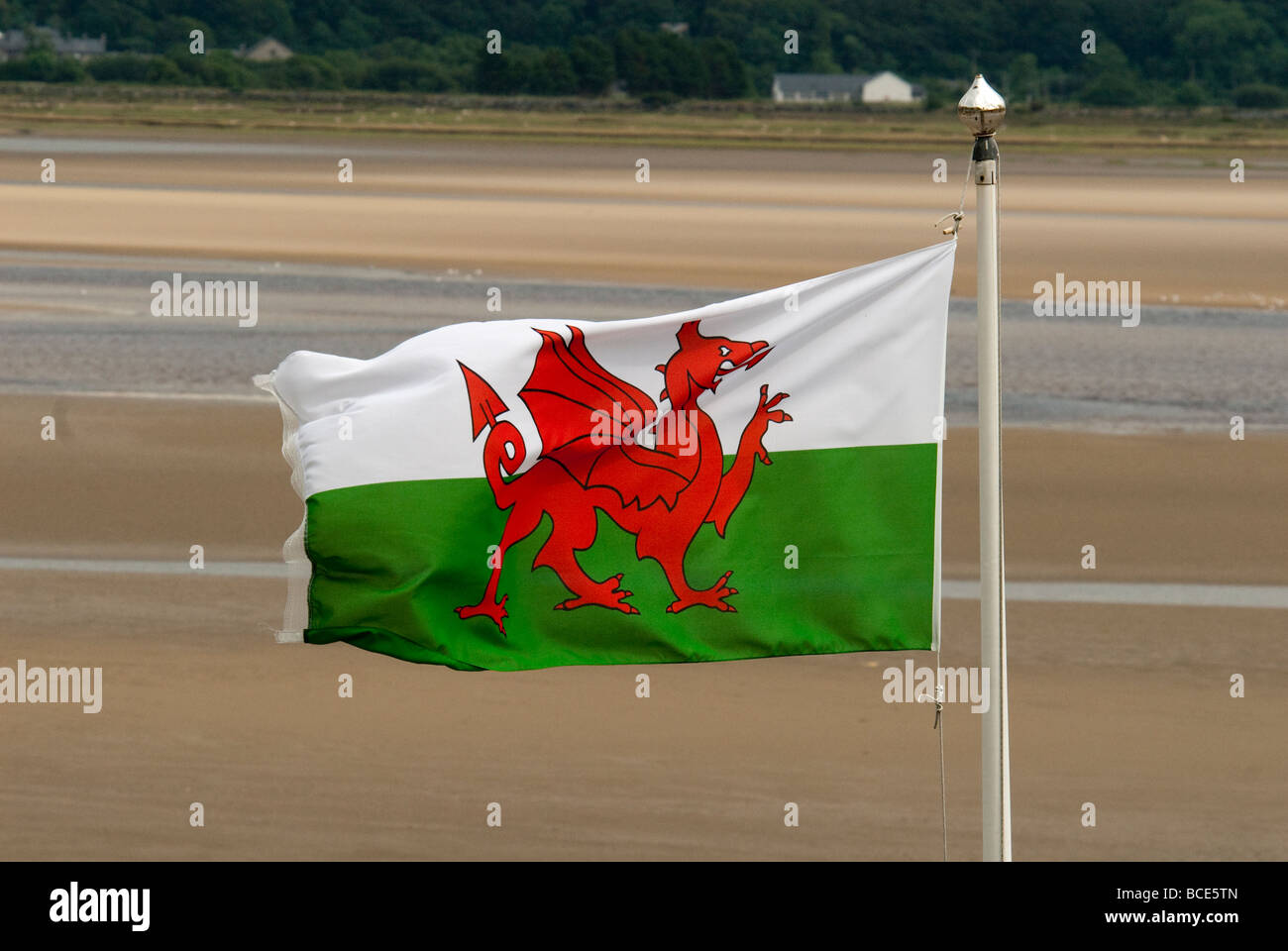 The welsh national flag hi-res stock photography and images - Alamy
