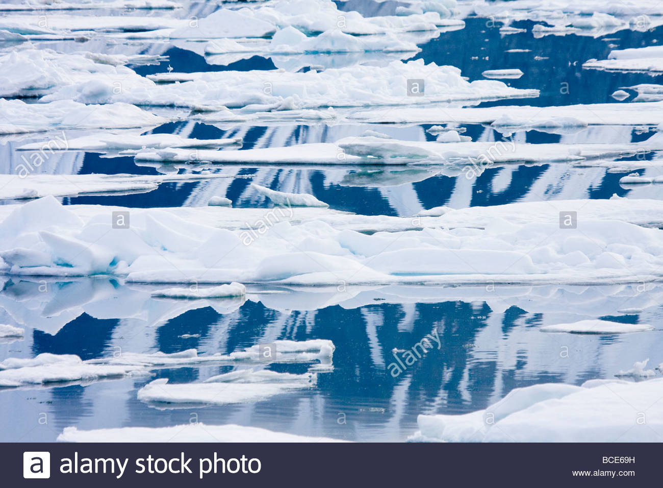 Melting pack ice creates patterns on the water Stock Photo - Alamy