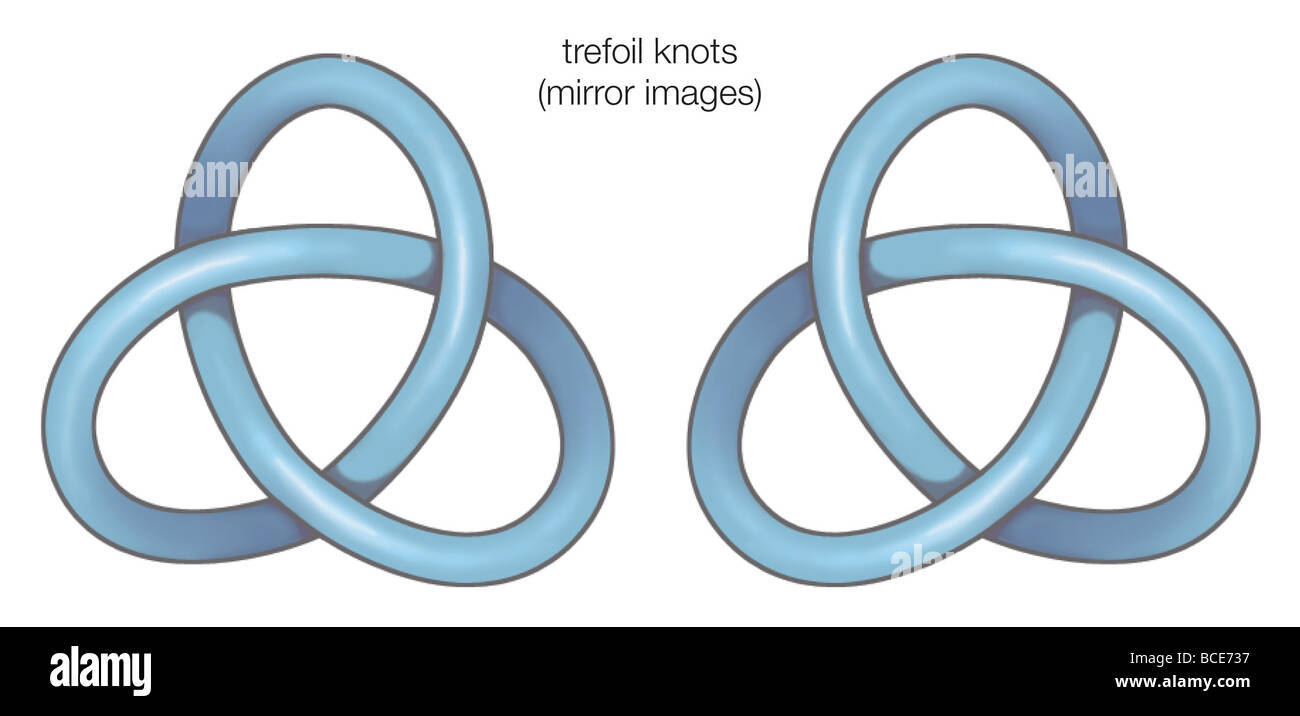 Trefoil knot hi-res stock photography and images - Alamy