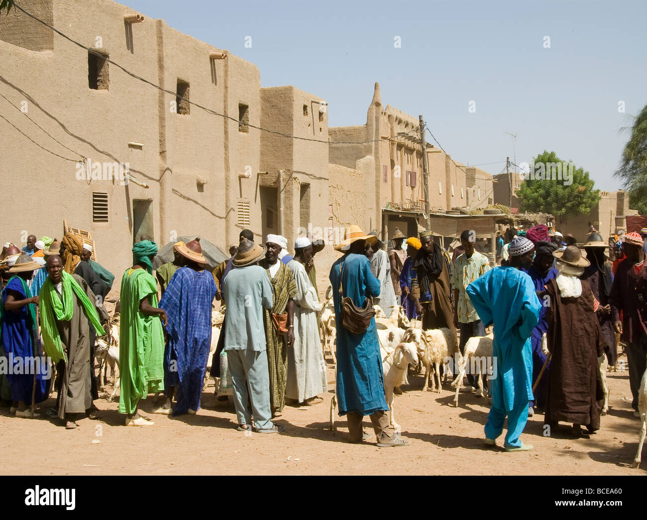 Mali cattle hi-res stock photography and images - Alamy