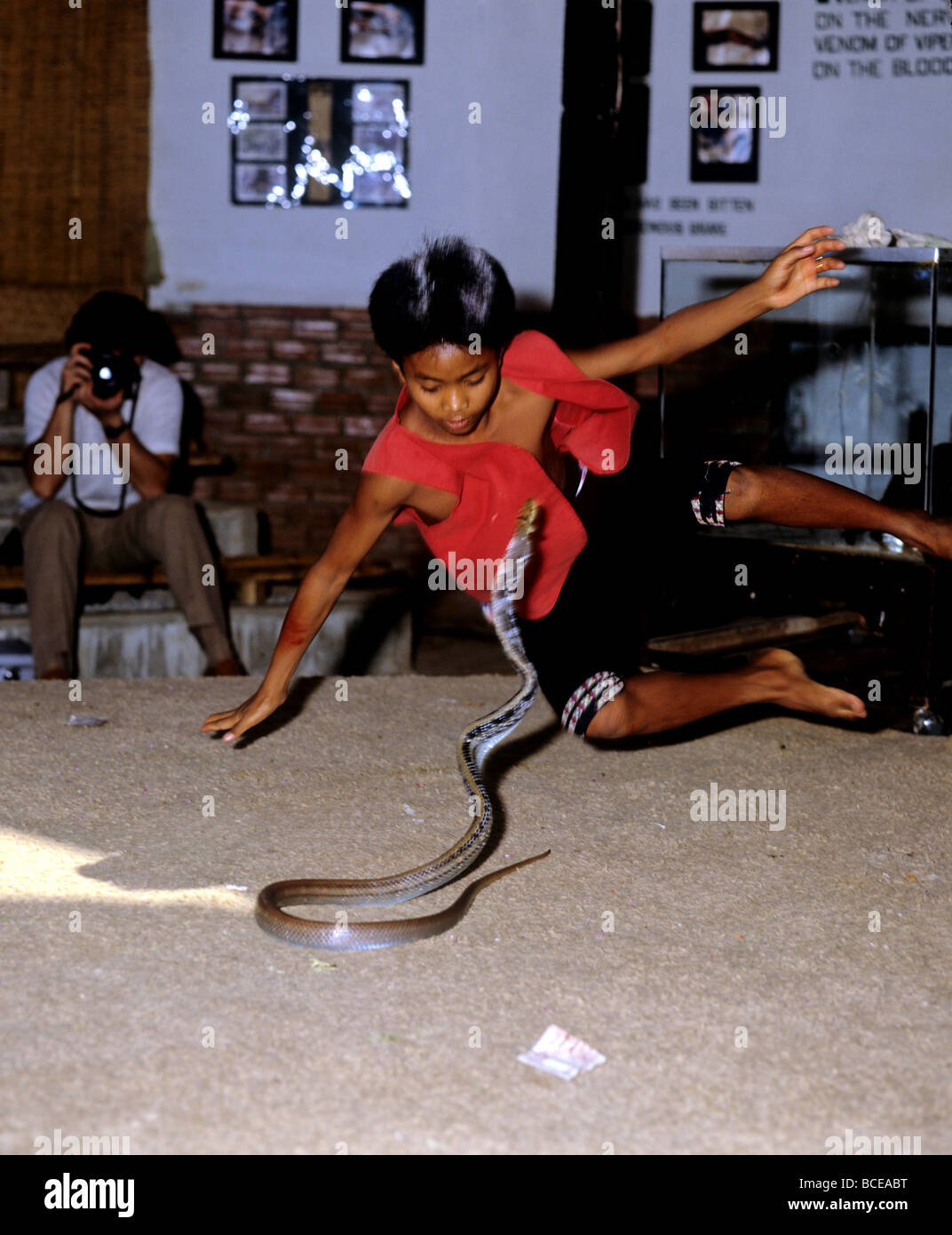 2312 Snake handler Central Thailand Stock Photo - Alamy
