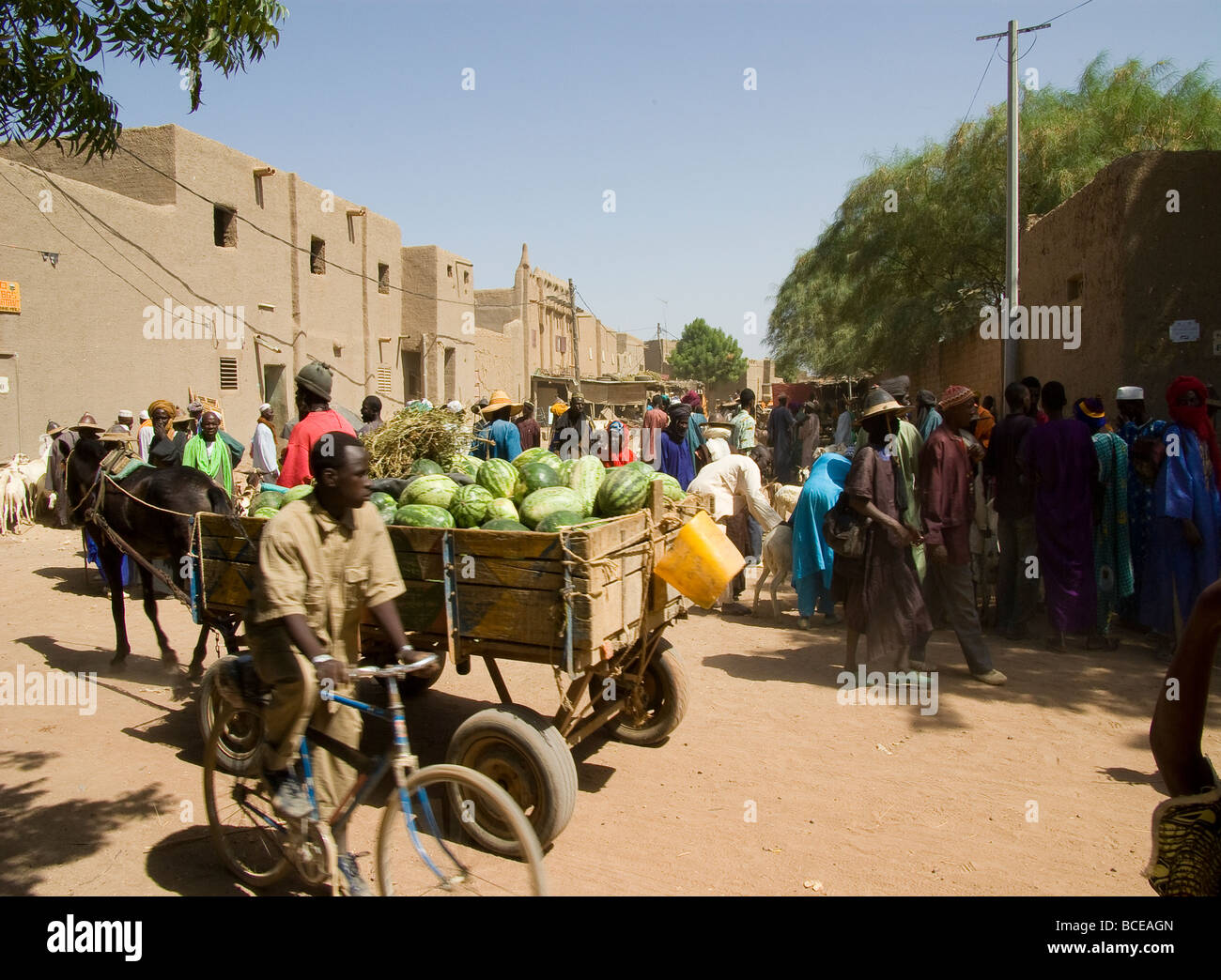 Cattle mali hi-res stock photography and images - Alamy