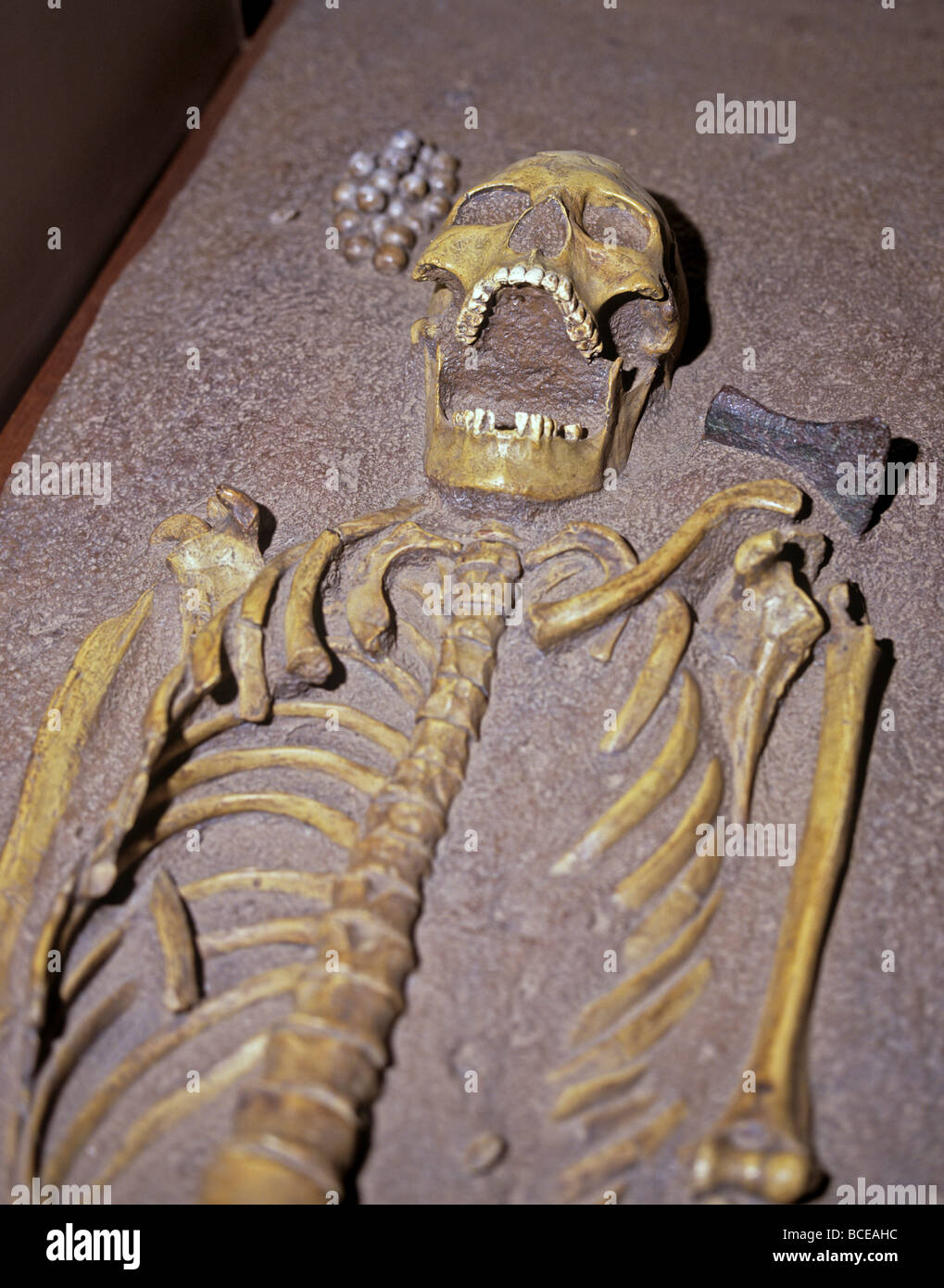 2365 Early Bronze Age Skeleton 6000 BC Ban Chiang North East Thailand ...