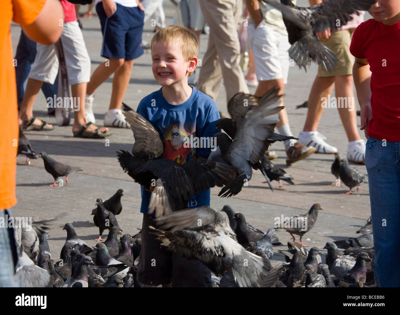 Children playing pigeon birds hi-res stock photography and images - Alamy