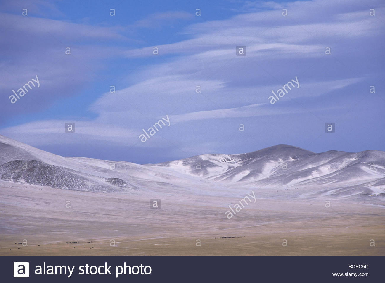 Gobi Desert Winter Stock Photos & Gobi Desert Winter Stock Images - Alamy