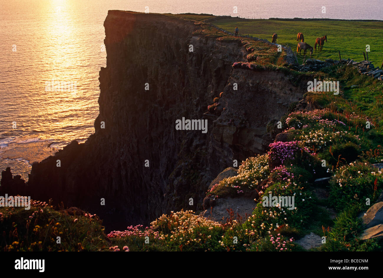 Ireland Co Clare The Cliffs of Moher Stock Photo - Alamy