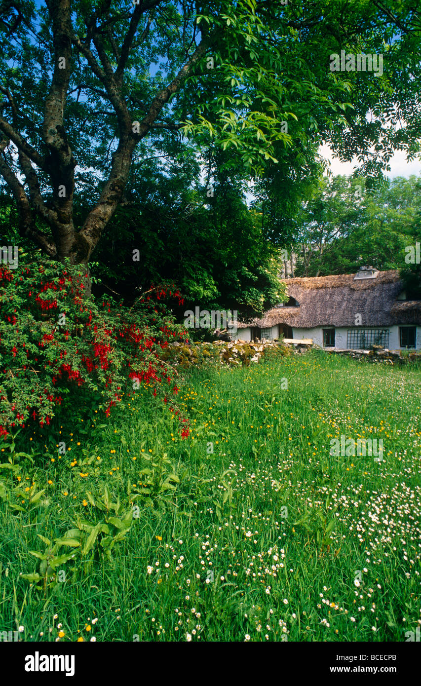 Ireland, Co. Clare. Thatched cottage, The Burren, Co. Clare, Ireland ...