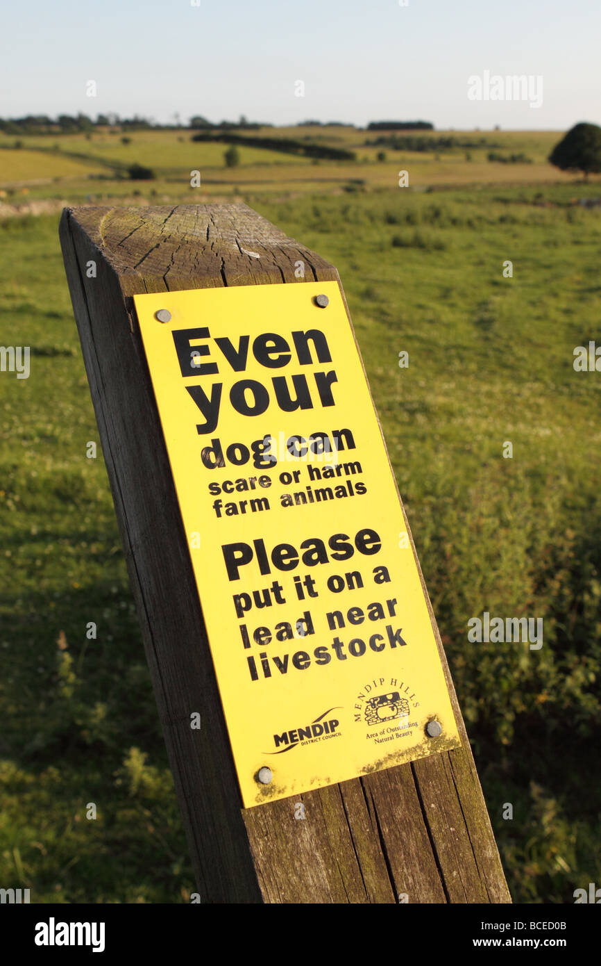 Keep dog on lead and cattle hi-res stock photography and images - Alamy