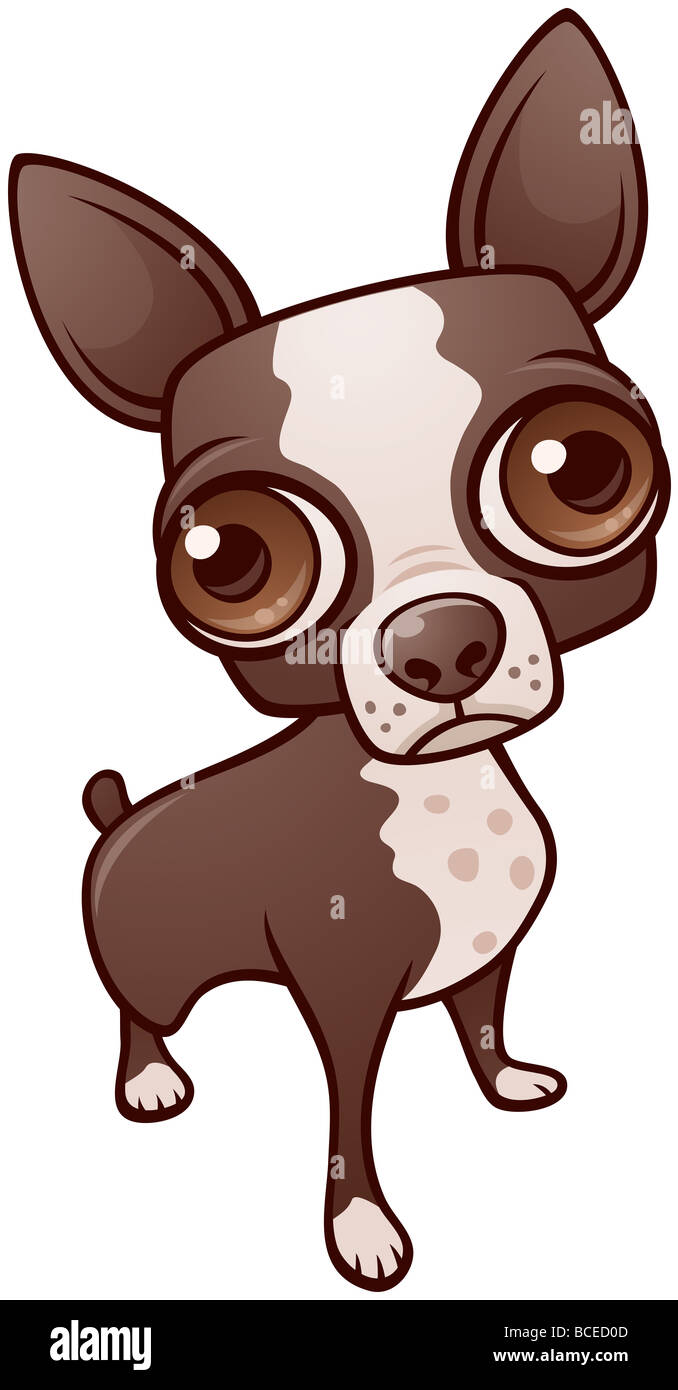 Vector cartoon illustration of a cute Boston Terrier puppy dog or ...