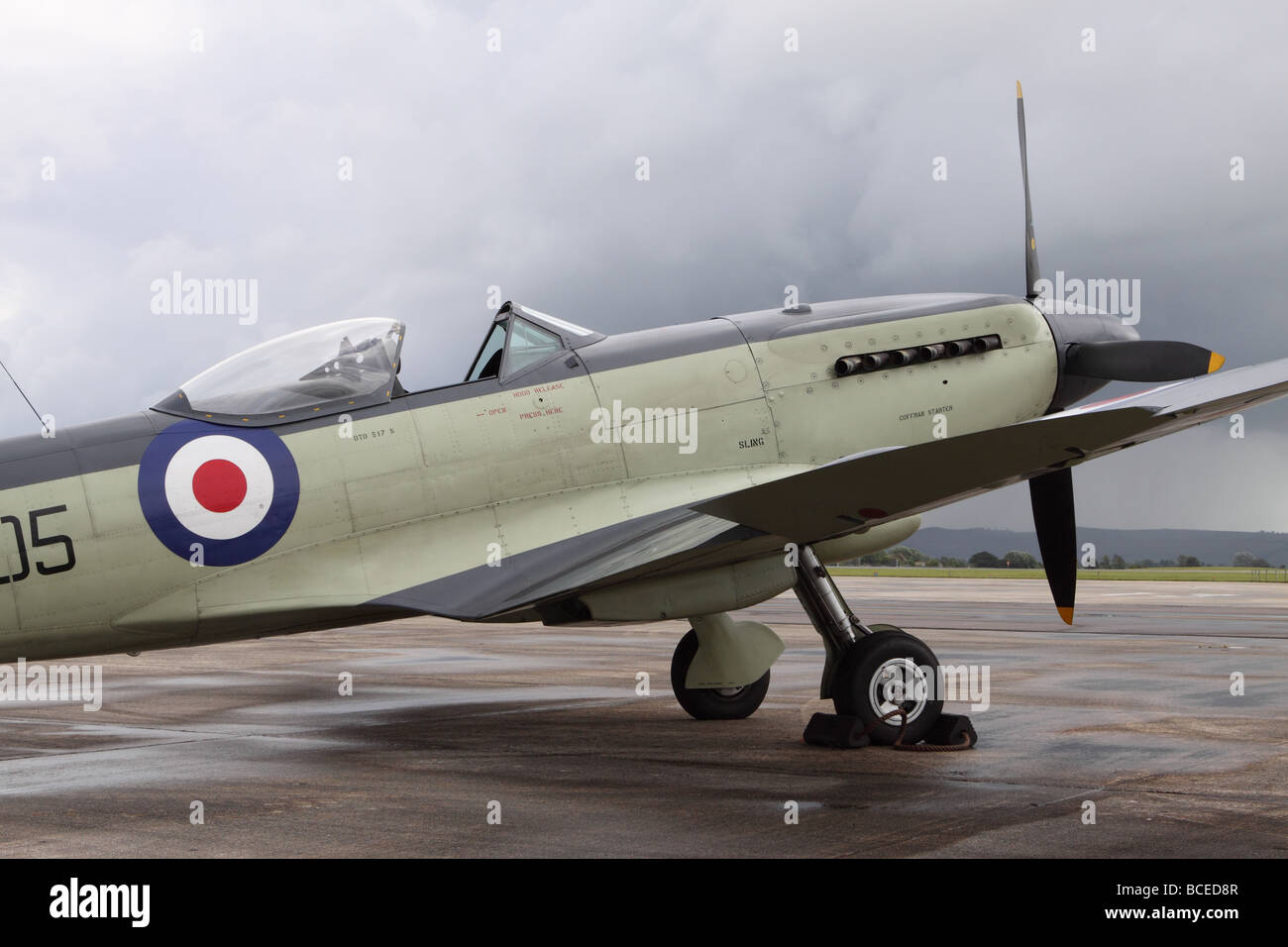 Supermarine Seafire F Mk XVII SX336 in Royal Navy colours this warbird ...