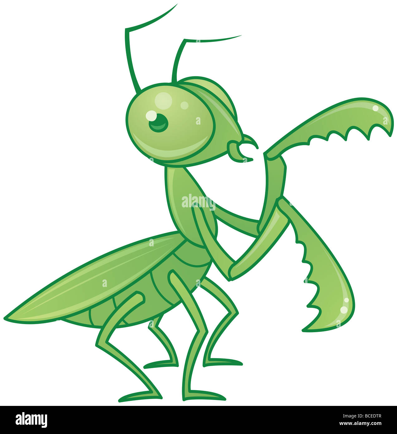 Vector drawing of a cute and friendly praying mantis character Stock ...