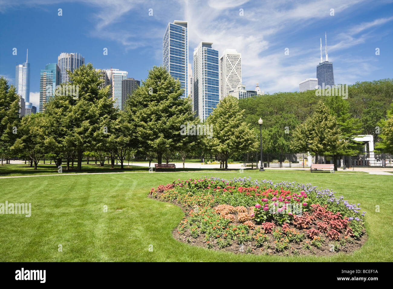 Flowers in Downtown Chicago Stock Photo - Alamy