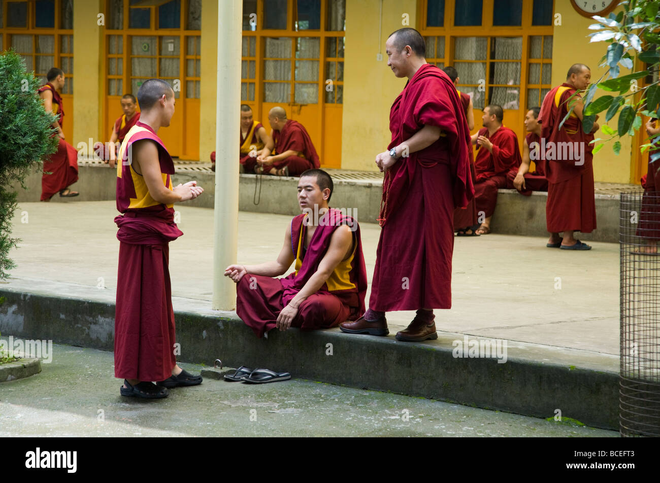 Buddhist monks debating, at the Namgyal temple in the Tsuglagkhang ...